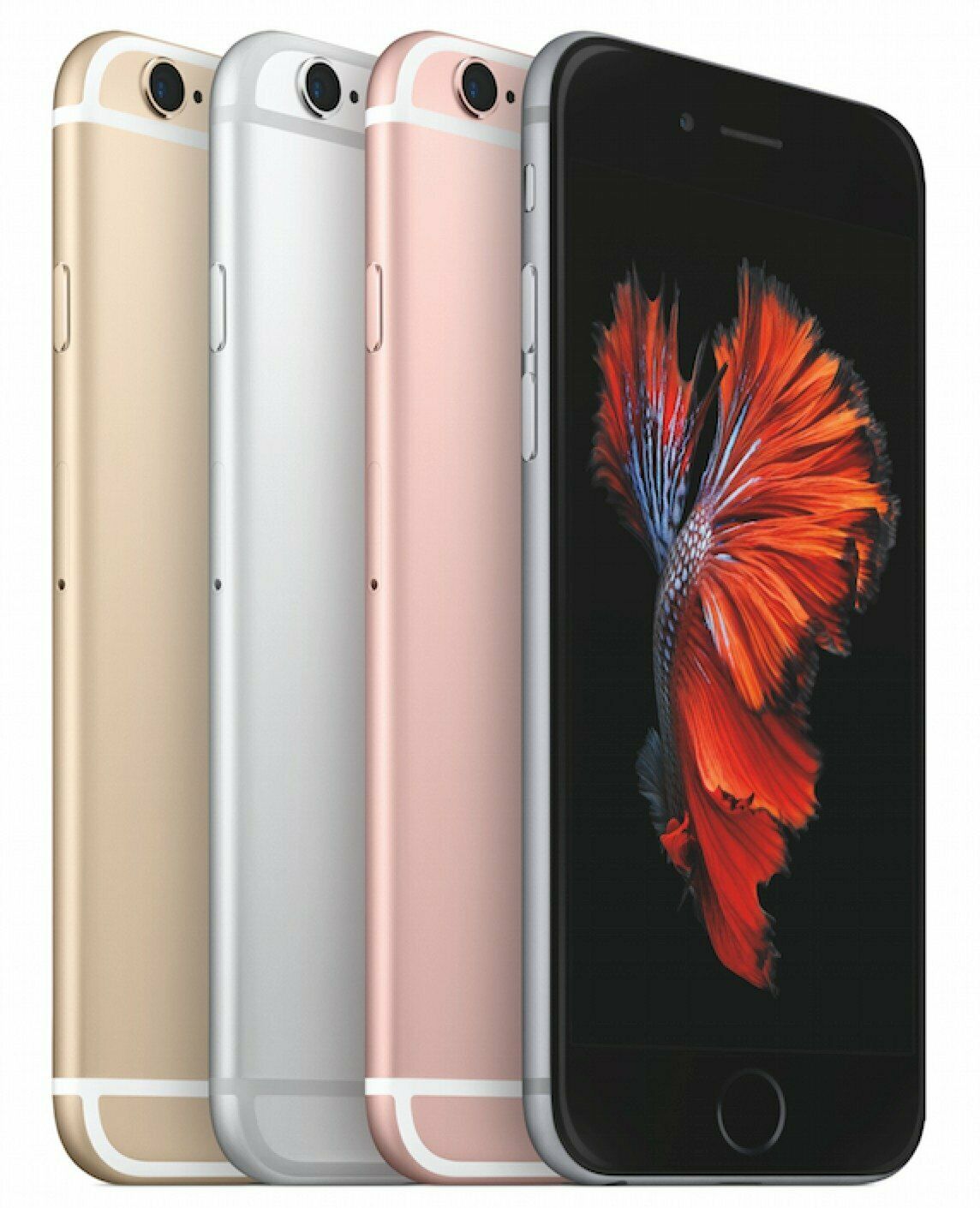 Apple iPhones Ready to Ship or Pick Up - Comprar Magazine